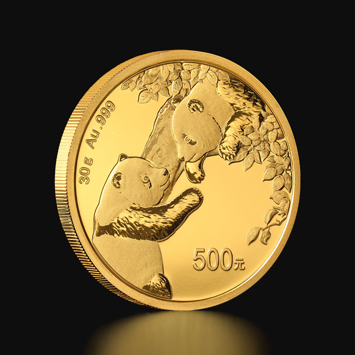 Złota moneta Chińska Panda – Rok 2023 30 g | Tavex