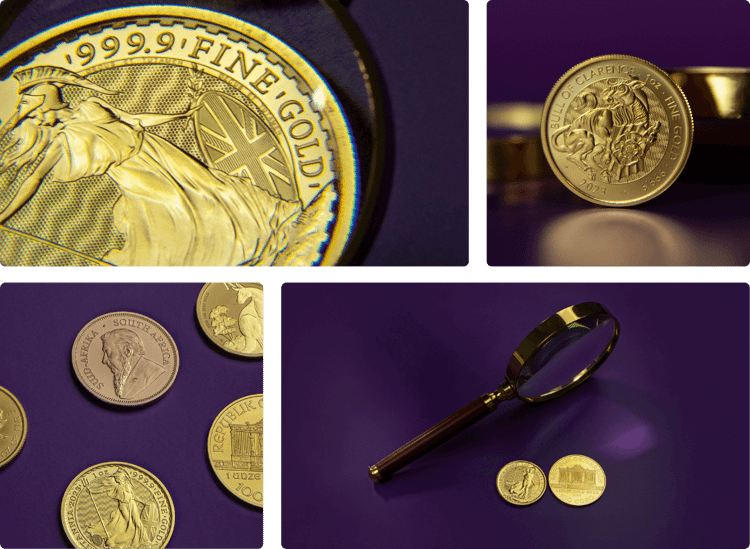 Kurs inwestowania | Tavex